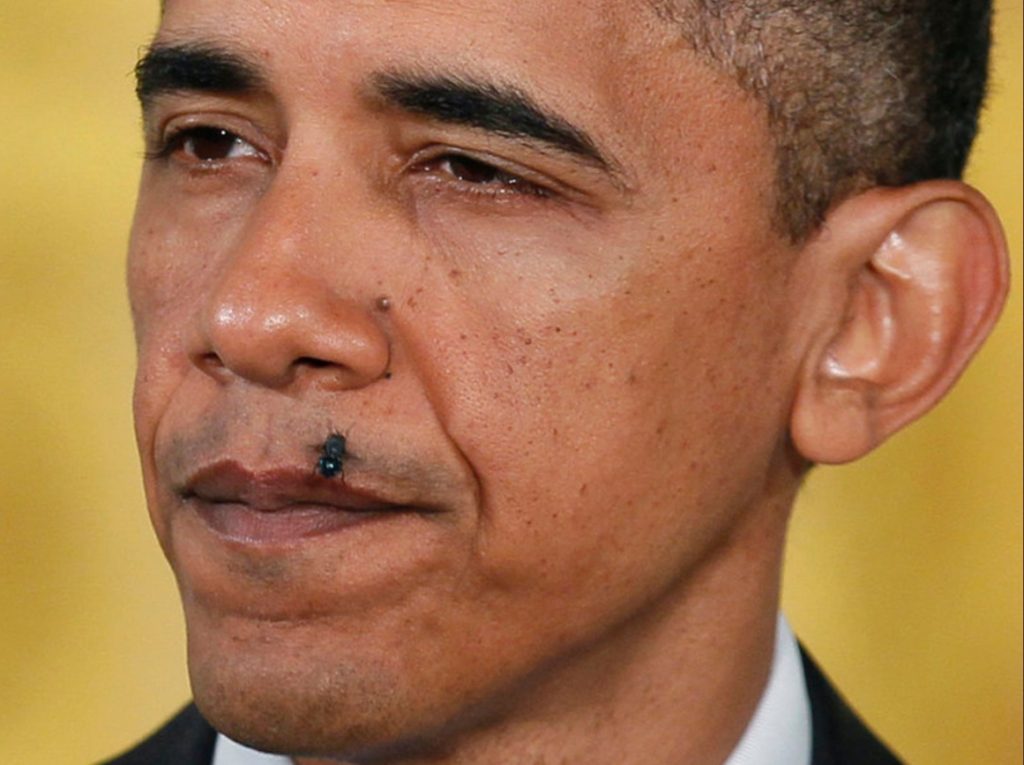 PHOTO Fly Landed On Barack Obama's Mustache