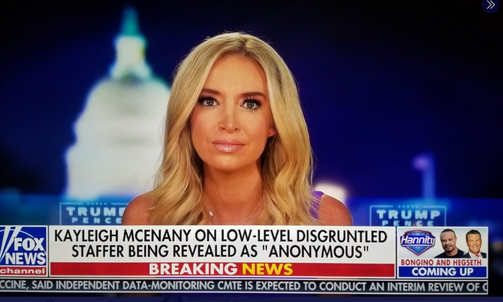 PHOTO Kayleigh McEnany's Face After Grilling Miles Taylor And Big Tech ...