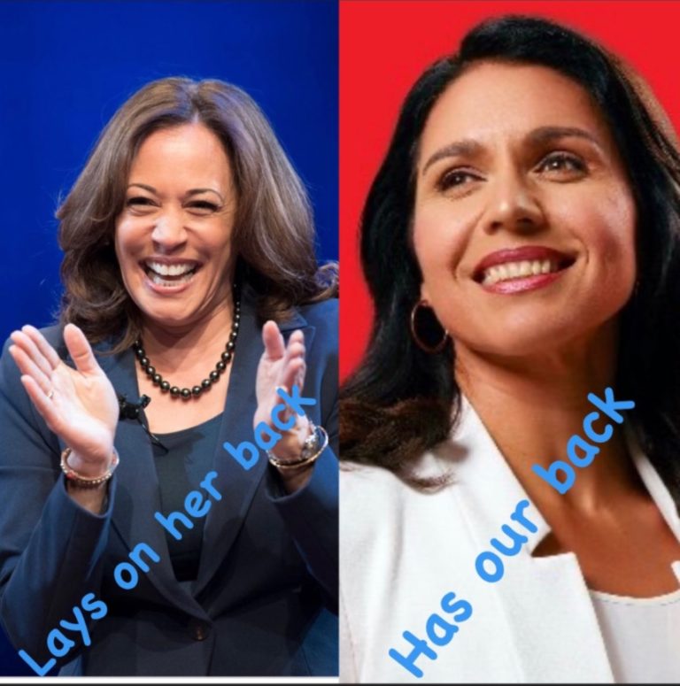 PHOTO Kamala Harris Lays On Her Back Tulsi Gabbard Has Our Back Meme