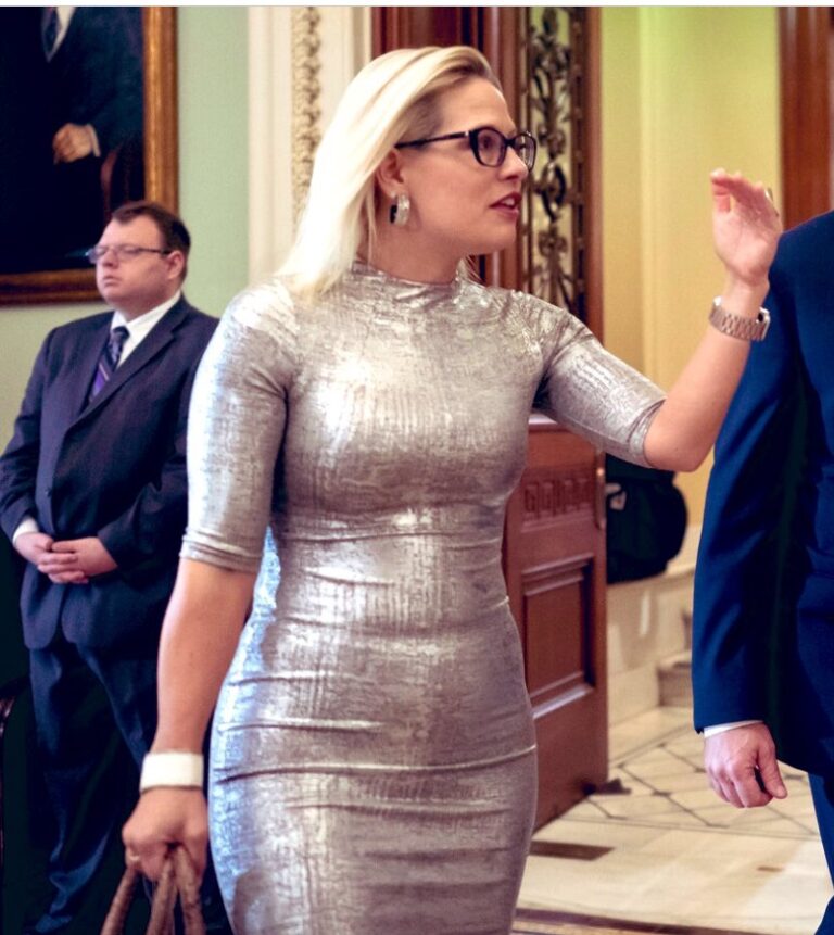 Photo Kyrsten Sinema Wearing A Silver Dress That Looks Like A Silver Toilet