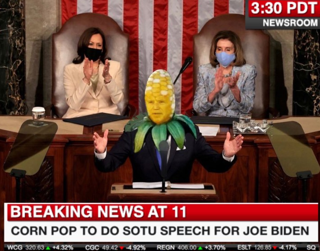PHOTO Corn Pop Will Be Doing The State Of The Union Speech For Joe ...