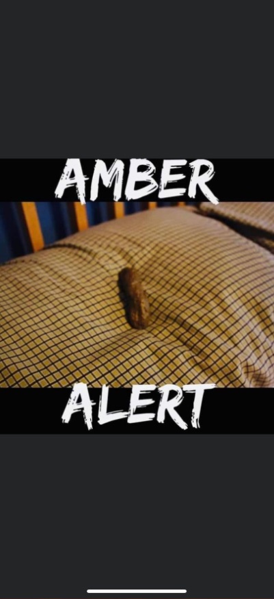 PHOTO Amber Alert Amber Heard's Alert You Get On Your Phone Like It's ...