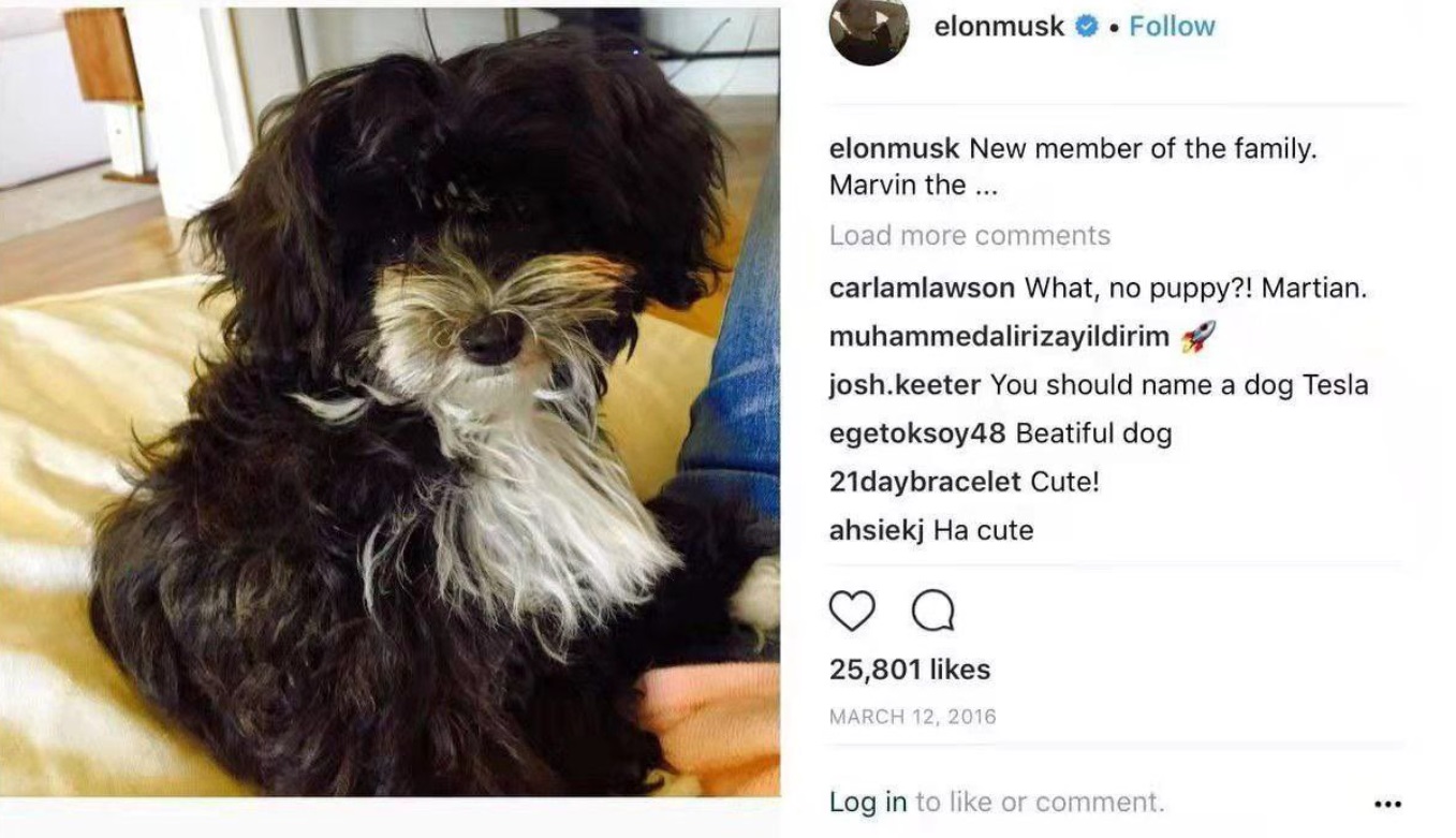PHOTO Elon Musk Doesn't Just Like DogeCoin He Also Has A Dog In Real Life
