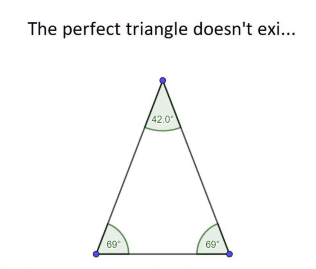 PHOTO The Perfect Triangle Doesn't Exist Elon Musk Rocket Meme