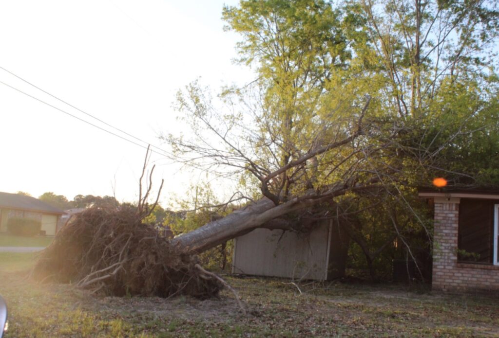PHOTO Weather Channels In Florida Have Been Overlooking The Extent Of ...