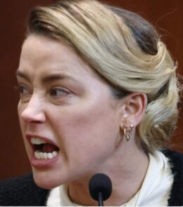 PHOTO Amber Heard's Fits Of Rage And Growling With Her Teeth Like An ...