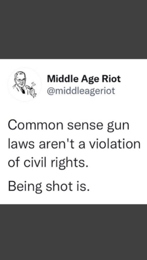 PHOTO Common Sense Gun Laws Aren't A Violation Of Civil Rights Being ...