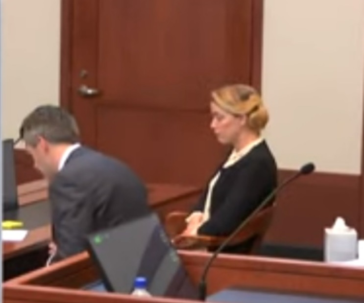 PHOTO Mr Rottenborn Doesn't Buy His Client Amber Heard's Stories Of ...