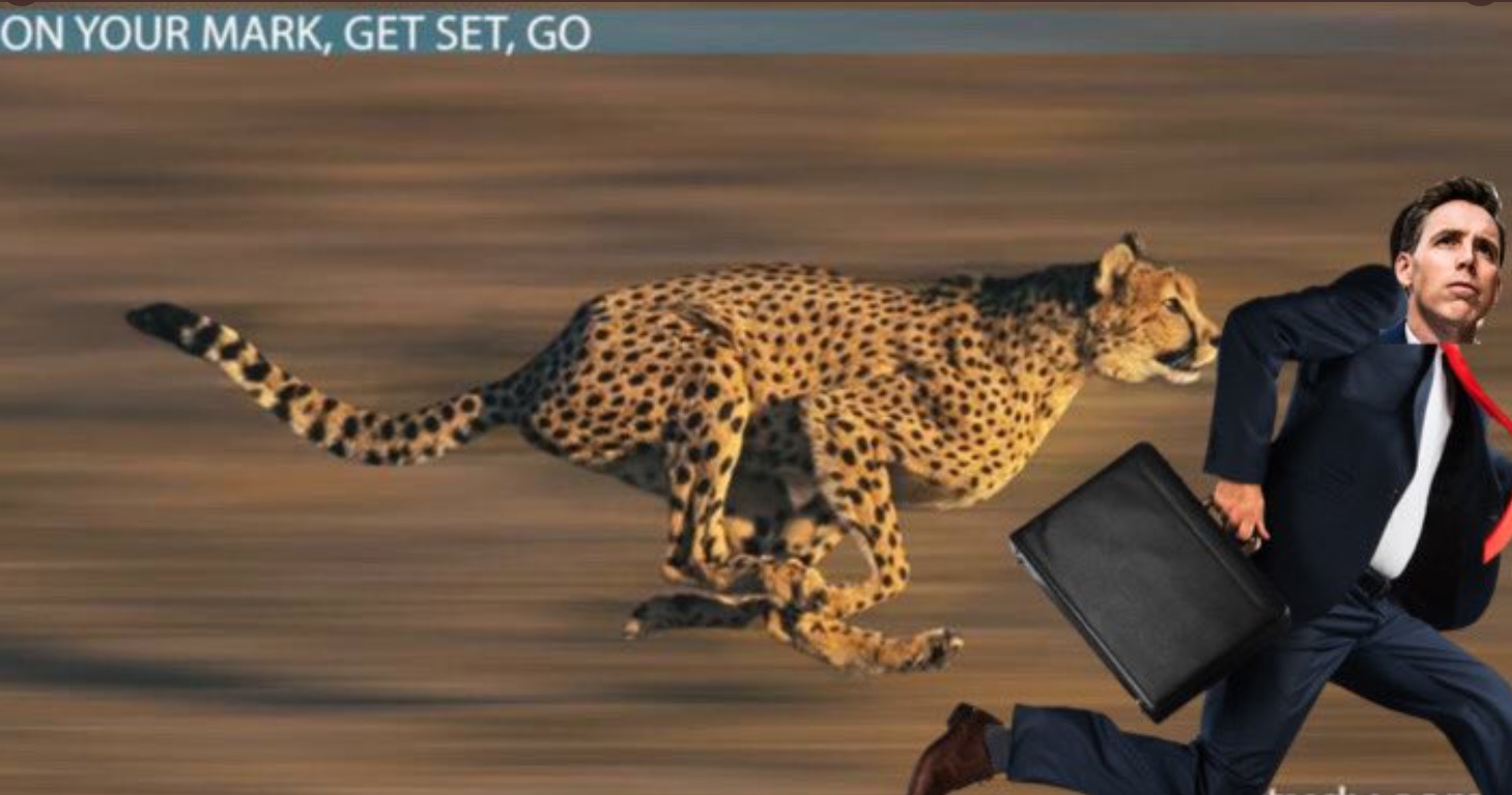 PHOTO Josh Hawley Racing A Cheetah And Winning Meme