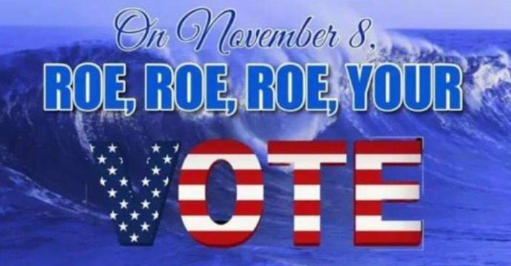 PHOTO On November 8th Roe Roe Roe Your Vote Meme