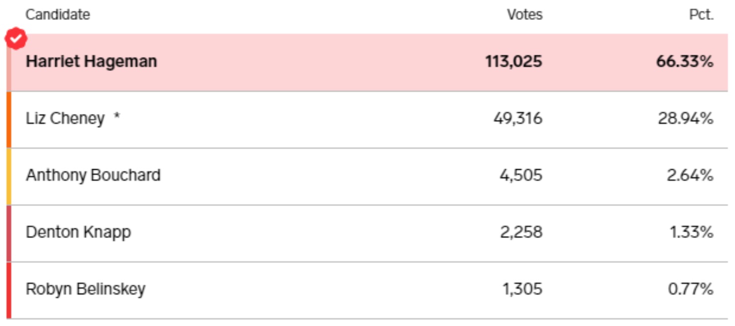 PHOTO Liz Cheney Losing To Harriet Hageman Is The 4th Worst Incumbent ...