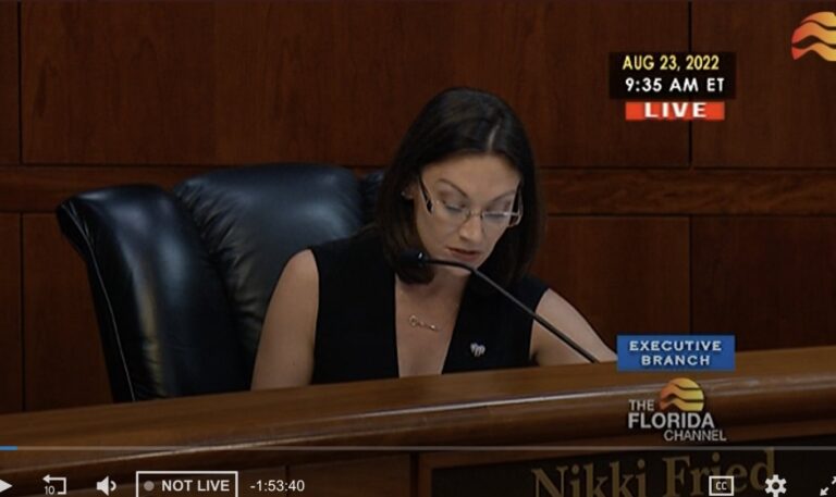 PHOTO Nikki Fried Was At Cabinet Meeting All Day While Charlie Crist ...