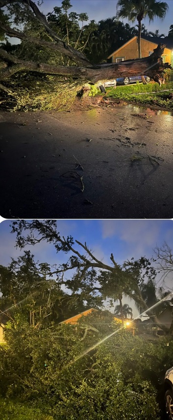 PHOTO Damage In Cooper City Florida From Tornado Is Really Bad