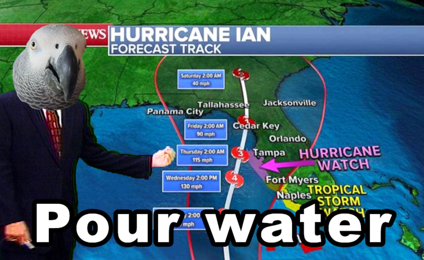 PHOTO Hurricane Ian Weather Forecast In Florida Pour Water Chicken Head ...