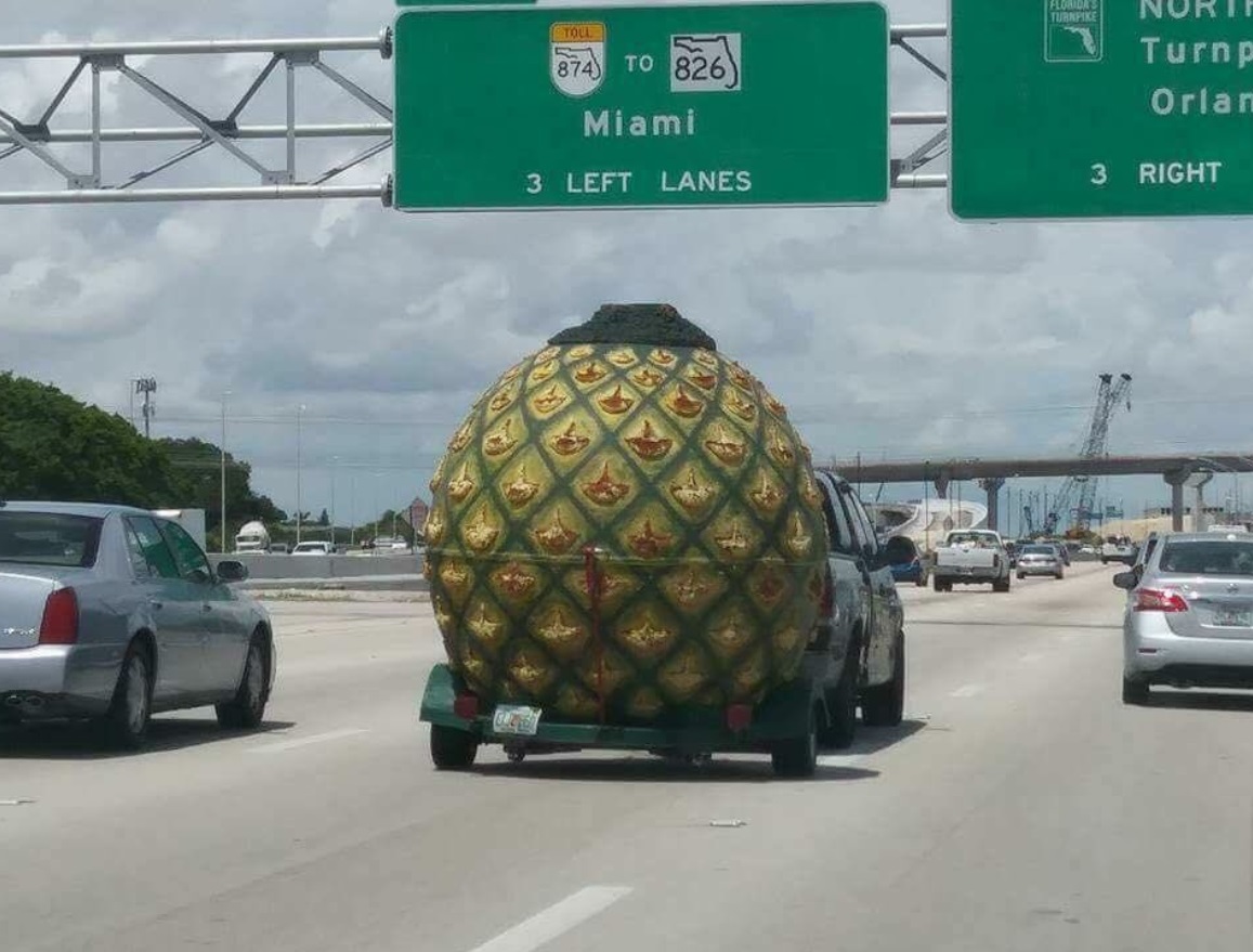 PHOTO Spongebob's Pineapple House Was Spotted Evacuating For Hurricane ...