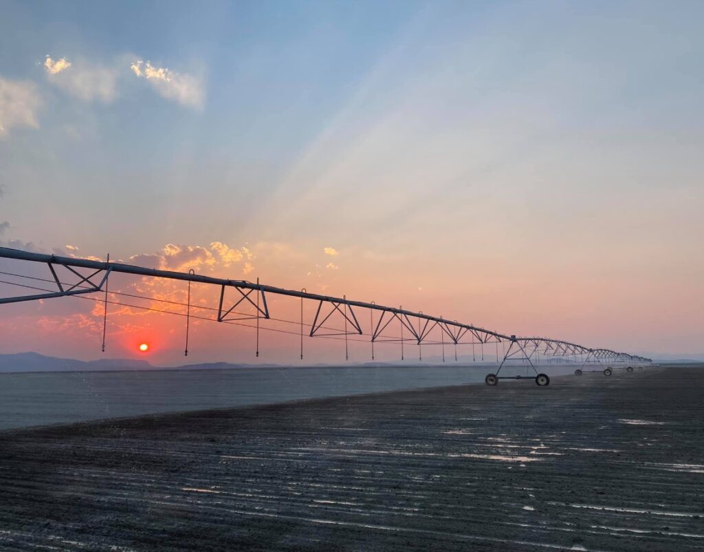 PHOTO Of Dylan Rounds' Farmland In Utah That He Maintained