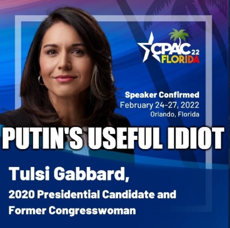 PHOTO Putin's Useful Idioit Tulsi Gabbard Meme