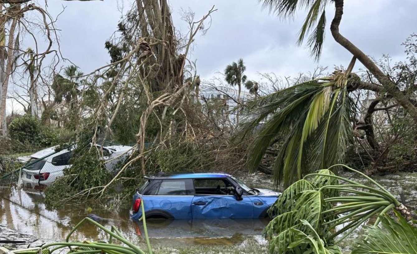 PHOTO Snakes And Alligators Crawling All Over People's Property In ...