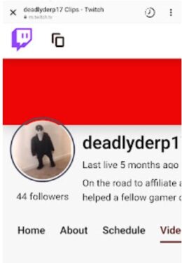 PHOTO Deadly Derp Twitch Account That May Be Related To Kaylee ...