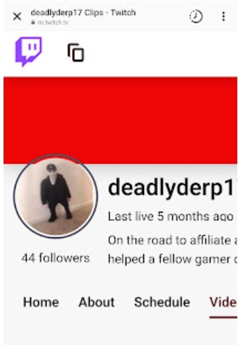 PHOTO Deadly Derp Twitch Account That May Be Related To Kaylee ...