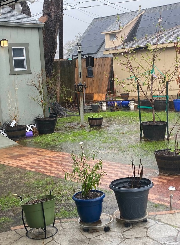 PHOTO Areas Of Southeast Houston Survived Minimal Damage From Tornado