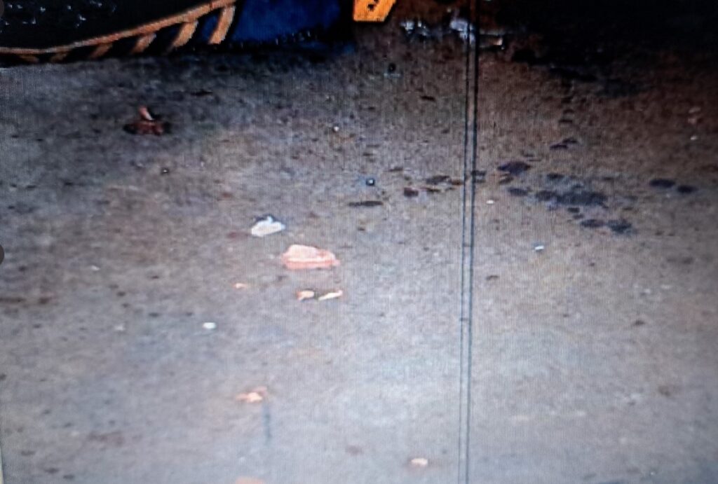 PHOTO Of Crime Scene At Stable In Alex Murdaugh Case