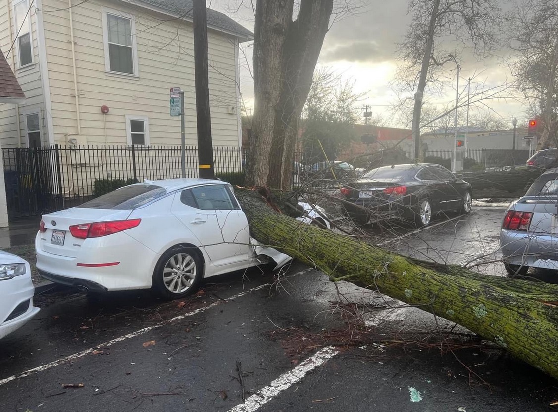 PHOTO The Scene In Sacramento California Is Crazy With Palm Trees Being ...