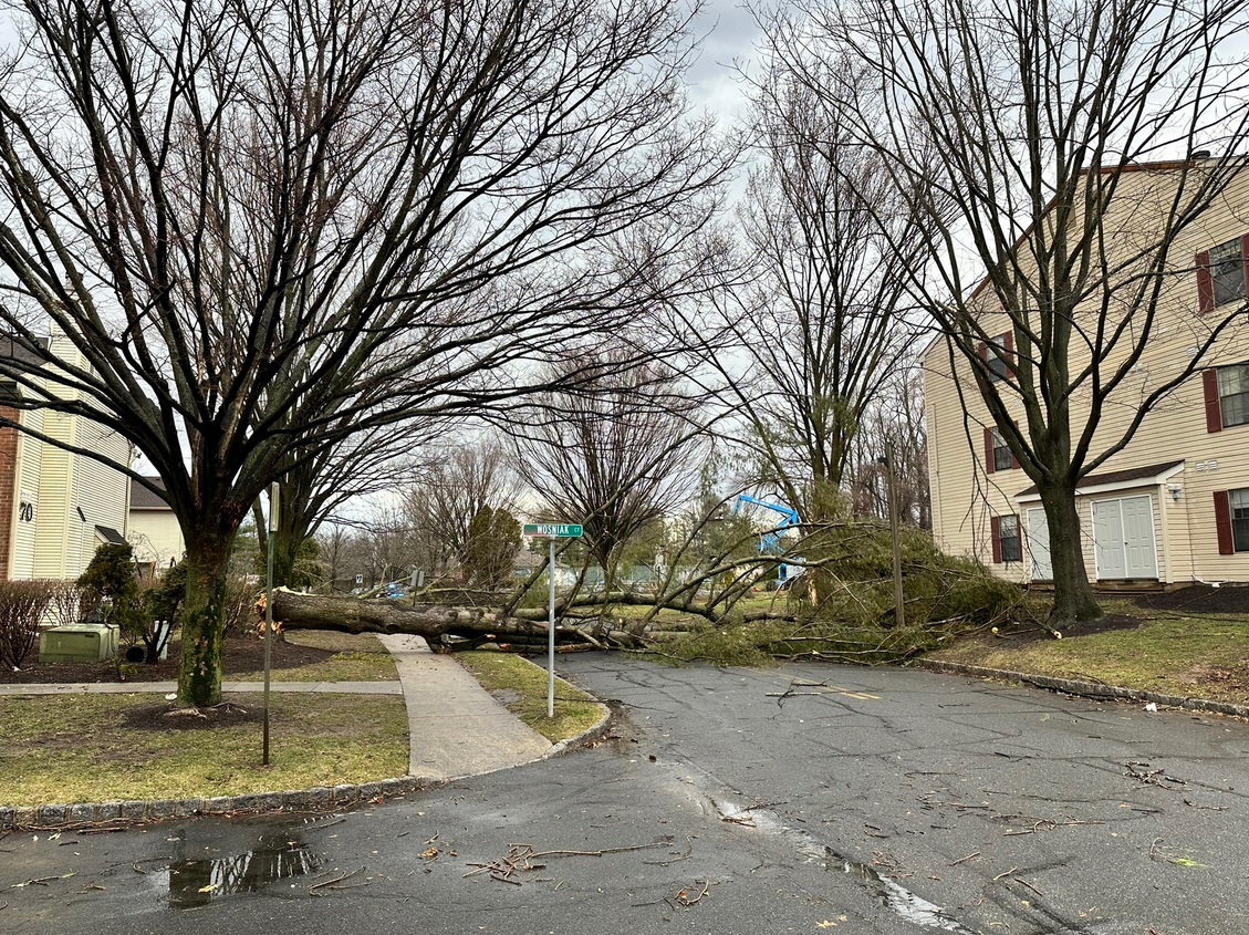 PHOTO Of Tornado Damage At Lawrence Square Village In New Jersey