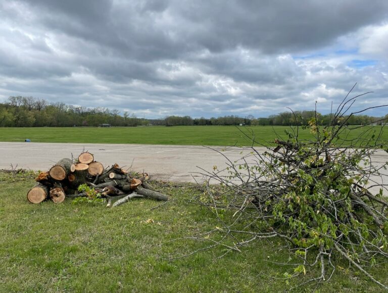PHOTO Giant Trees Were Uprooted In Fenton Illinois From Tornado