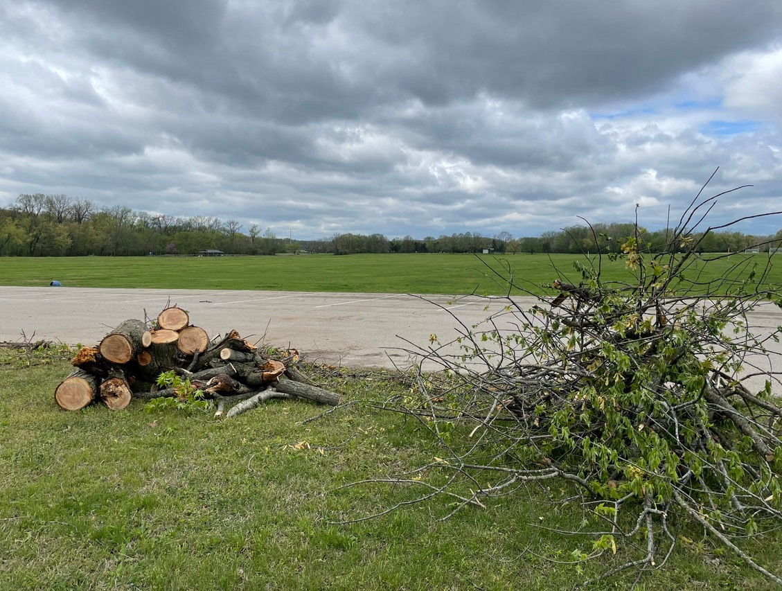 PHOTO Giant Trees Were Uprooted In Fenton Illinois From Tornado