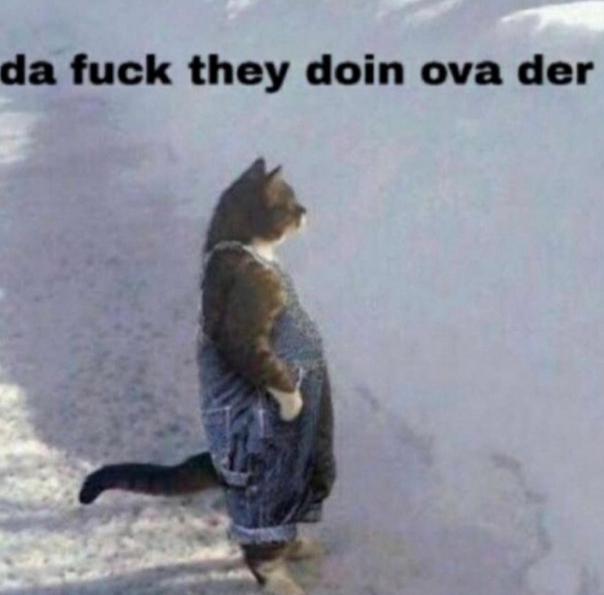 PHOTO Joe Mazulla Looking Over At Erik Spoelstra And His Staff Like Da ...