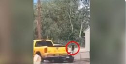PHOTO Of Mass Shooter Beau Wilson Fleeing Vehicle To Open Fire On His ...