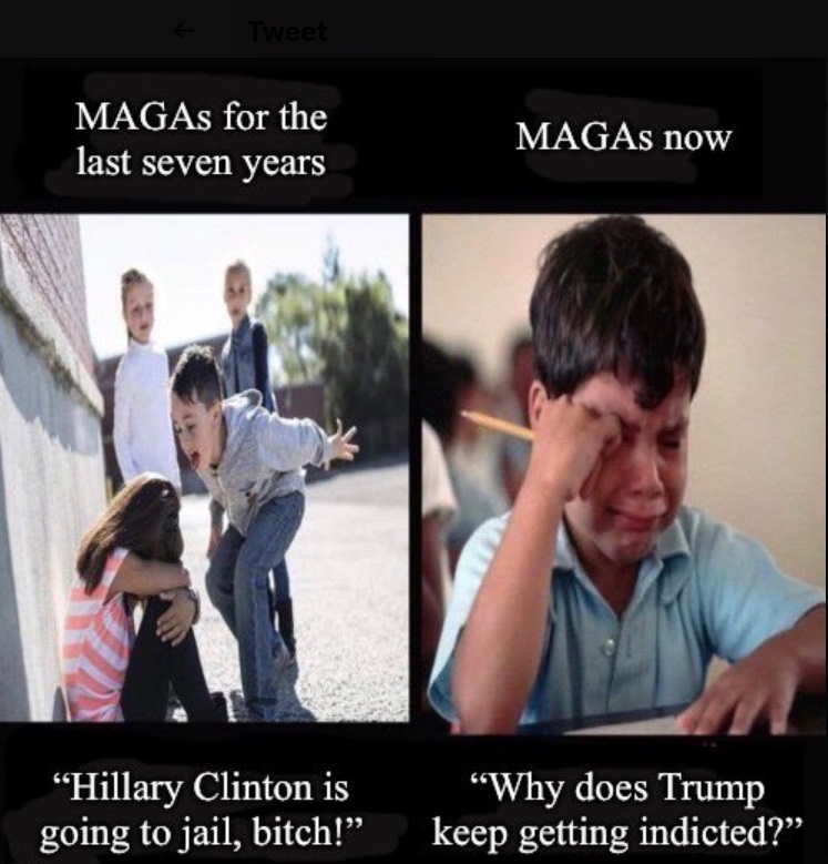 PHOTO MAGA For The Last 7 Years Vs MAGA Now Meme