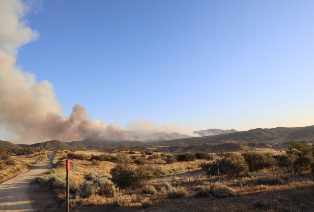 PHOTO Close Up Of Bonny Fire Flames From Anza And Aguanga California