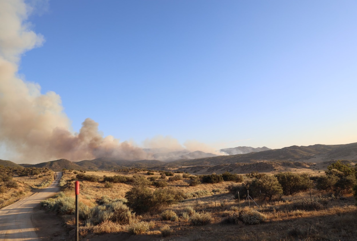 PHOTO Close Up Of Bonny Fire Flames From Anza And Aguanga California