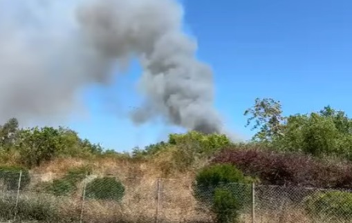 PHOTO Oceanside CA Fire Started In Dry Brush On The Side Of The Road