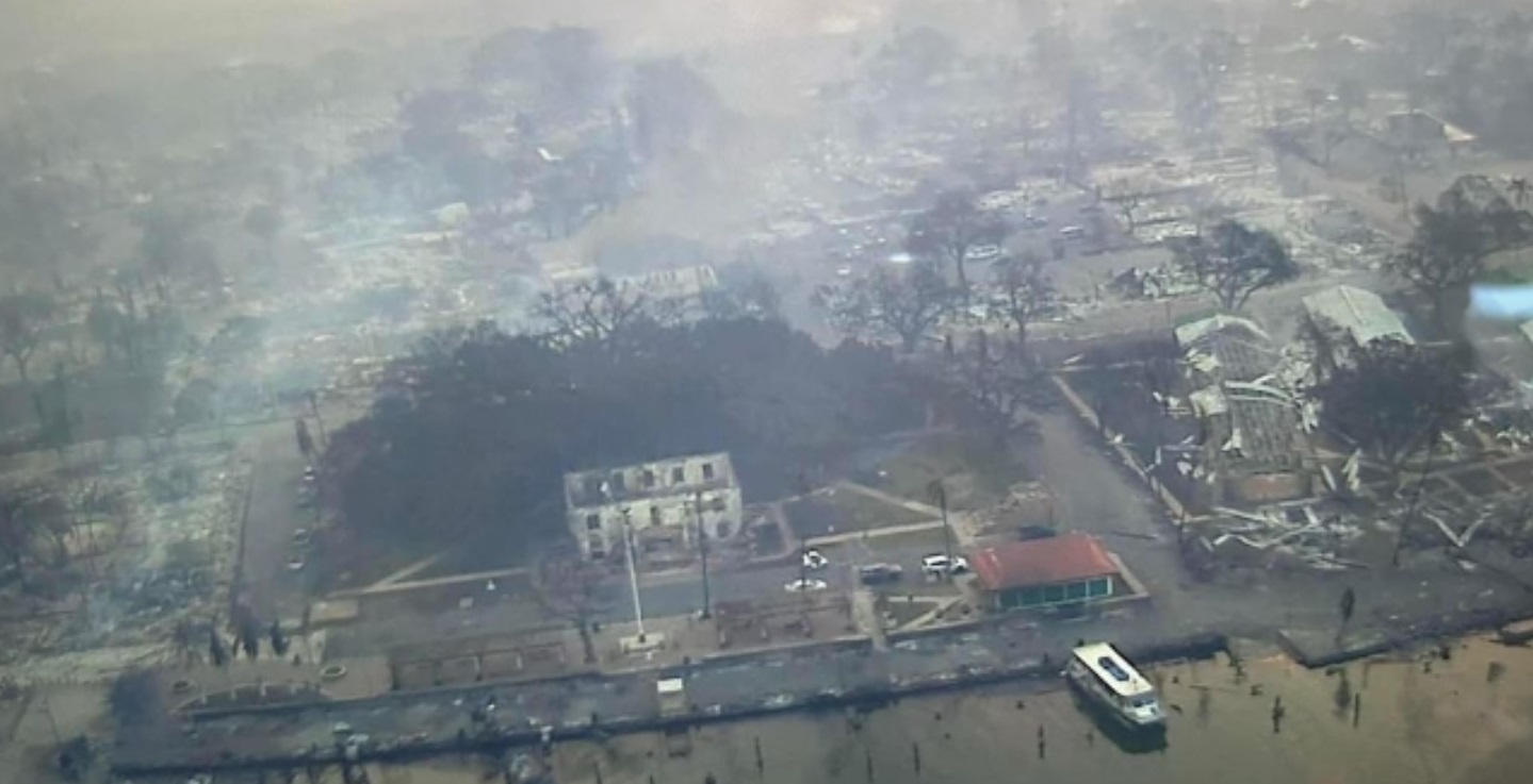 PHOTO Proof Lahaina's Banyan Tree Is Still Standing In Some Capacity
