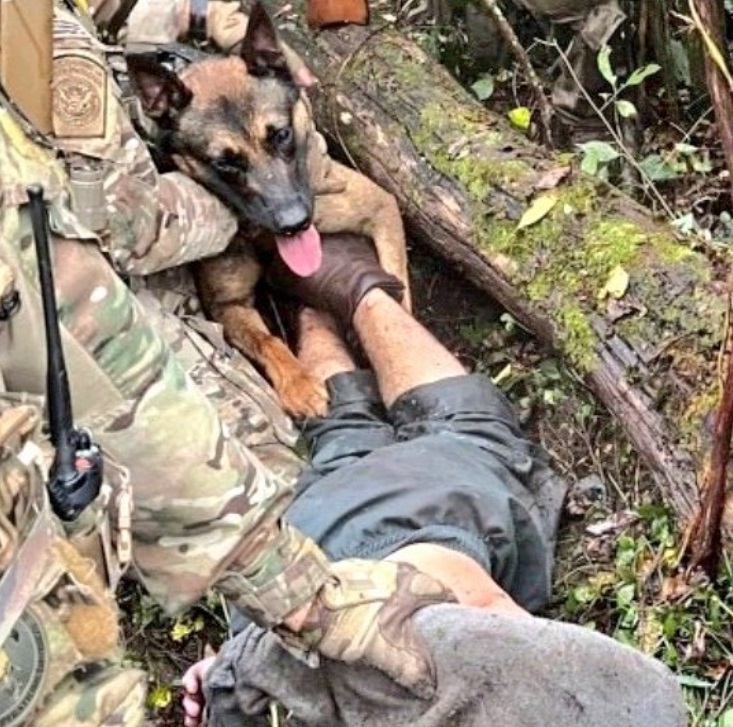 PHOTO Of Dog That Helped Capture Danelo Cavalcante