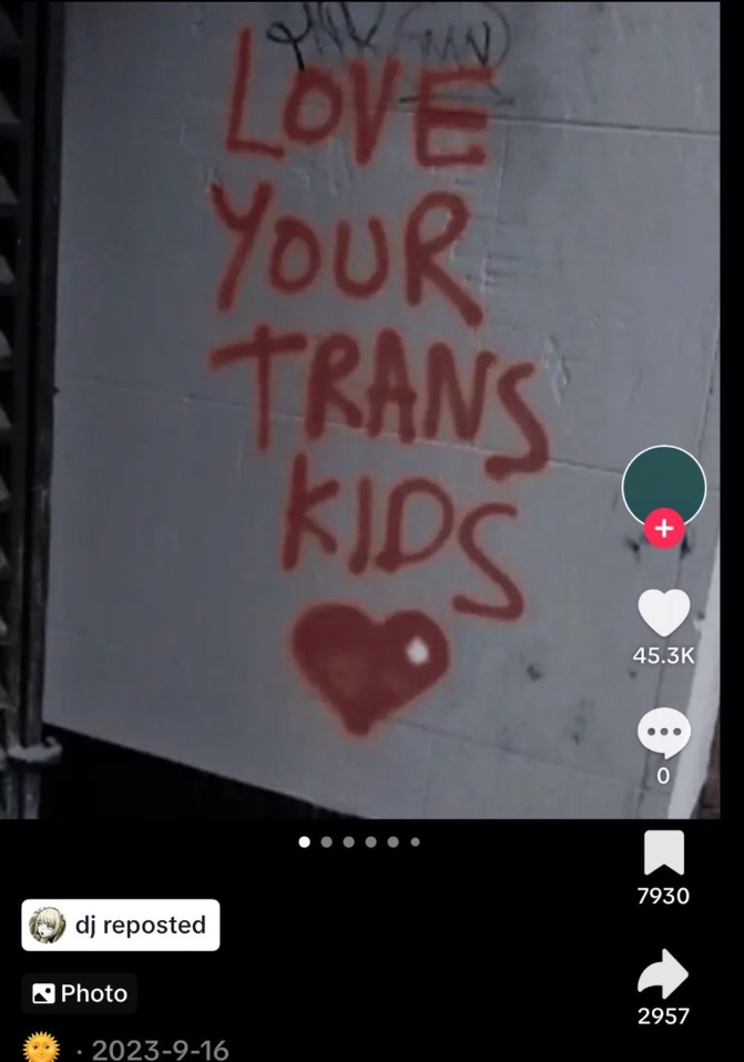 PHOTO Dylan Butler's LGBT Pride Flag Put An Emphasis On The "T"