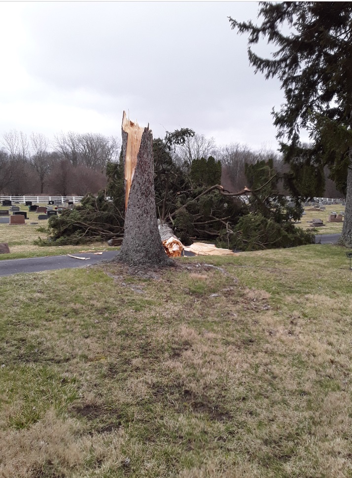 PHOTO Large Tree Trunk Just Snapped In Deercreek Township Cemetery In ...