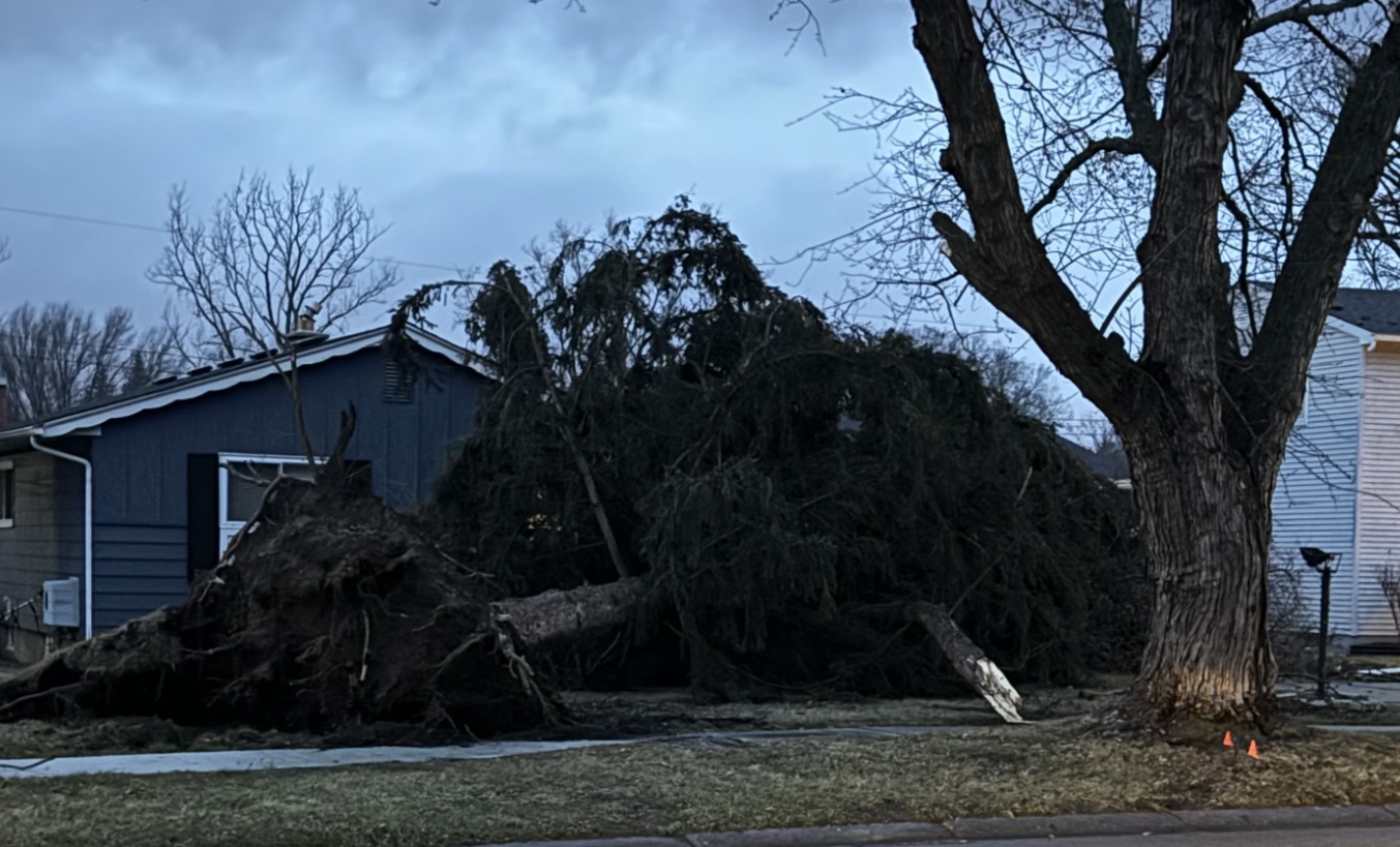 PHOTO Power Lines And Storm Damage Still Everywhere In Grand Blanc Michigan