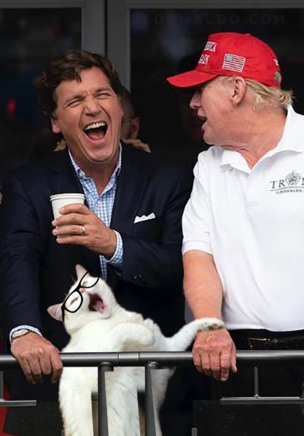 PHOTO Tucker Carlson Reacting To Donald Trump's $400 Sneakers Selling ...