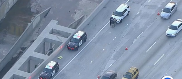 PHOTO Danielle Cherakiyah Johnson's Antics Blocked Traffic For Hours On ...