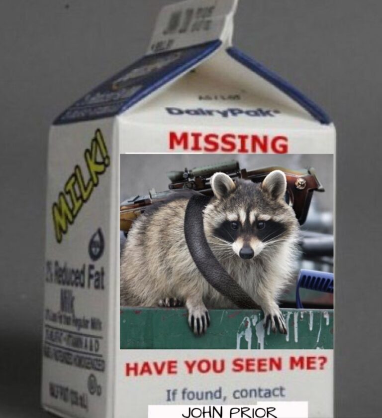 PHOTO Missing Have You Seen Me If Found Contact John Prior Chad Daybell ...