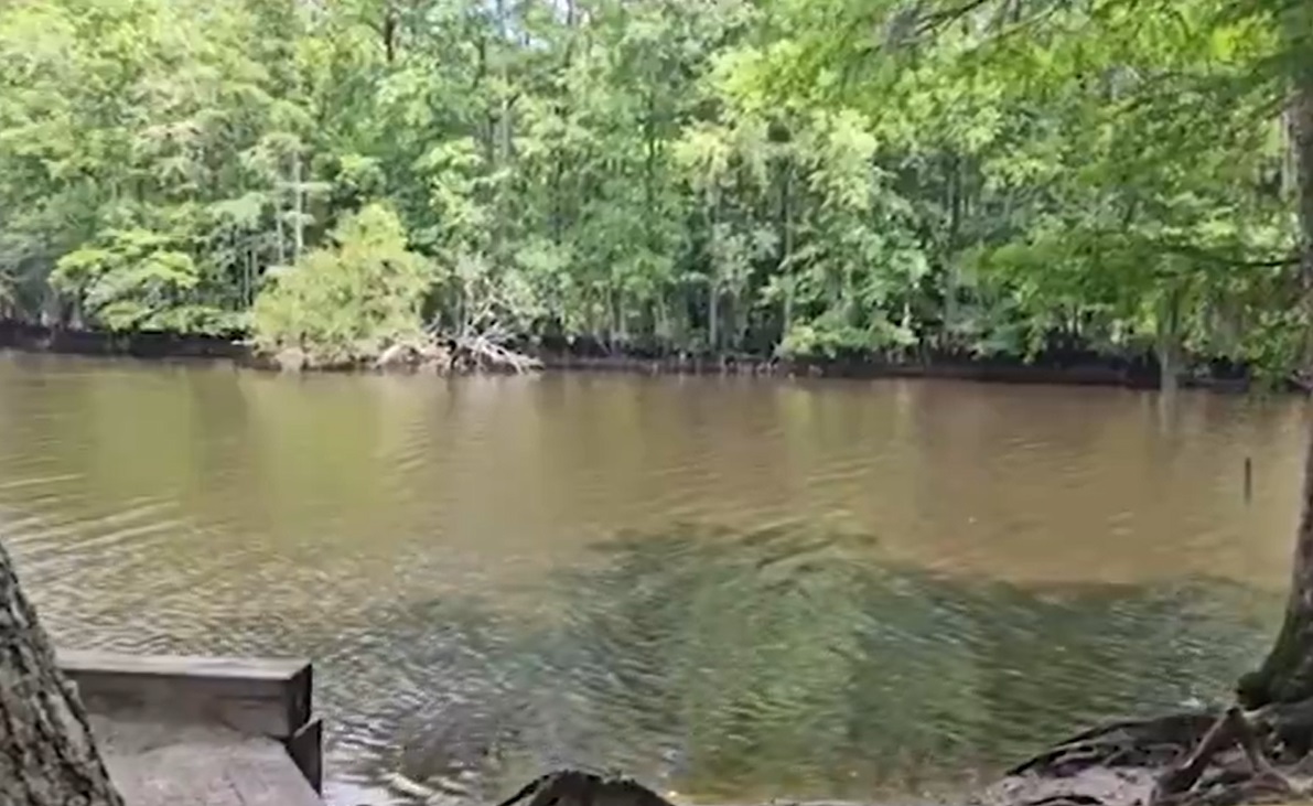 PHOTO Of Where Mica Miller Shot Herself In National Park