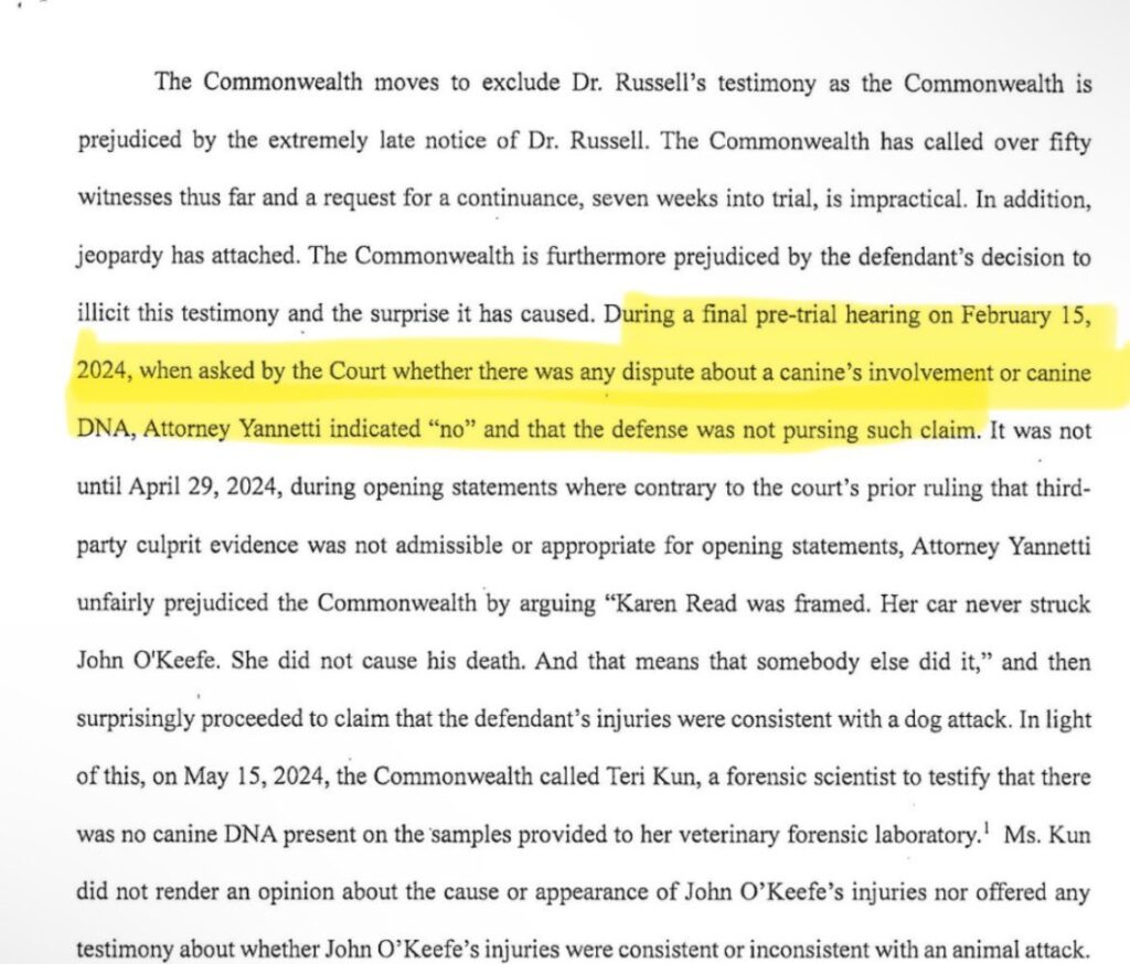 PHOTO Attorney Yannetti Indicated No Canine Was Involved In Murder In ...