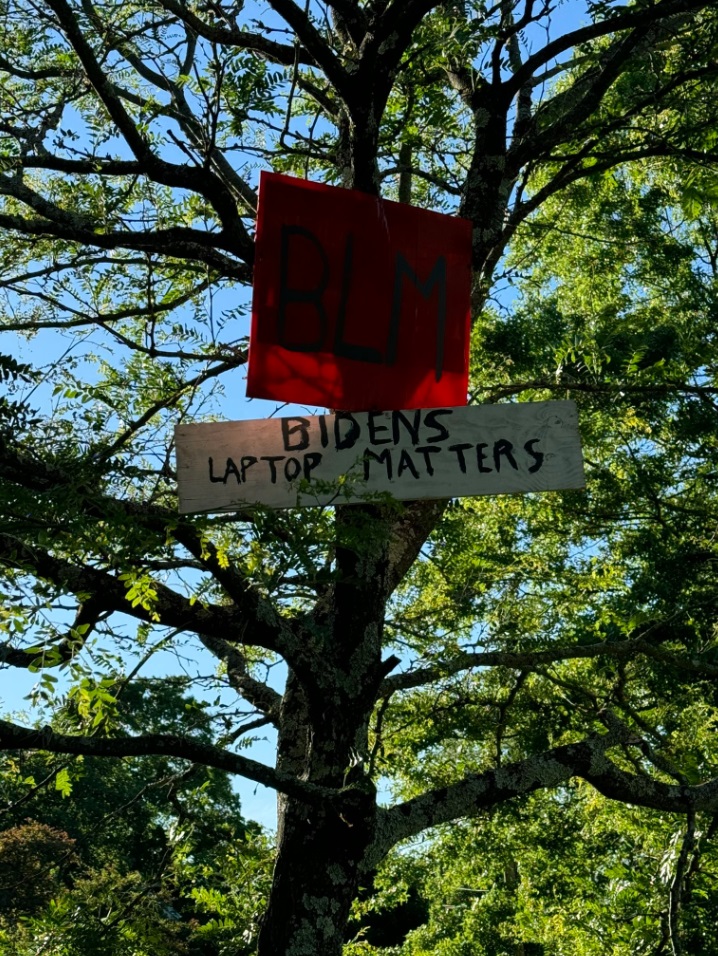 PHOTO Biden's Laptop Matters Sign Next To BLM Sign