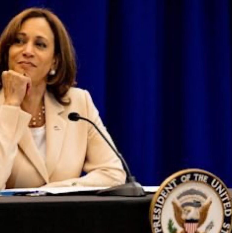 PHOTO Kamala Harris' Smirk When She Realizes She's President Of The ...