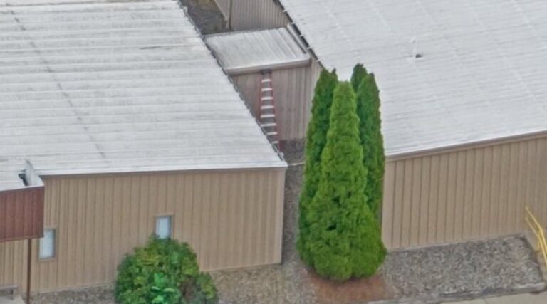 PHOTO Thomas Crooks Should Have Never Been Allowed To Climb Building ...