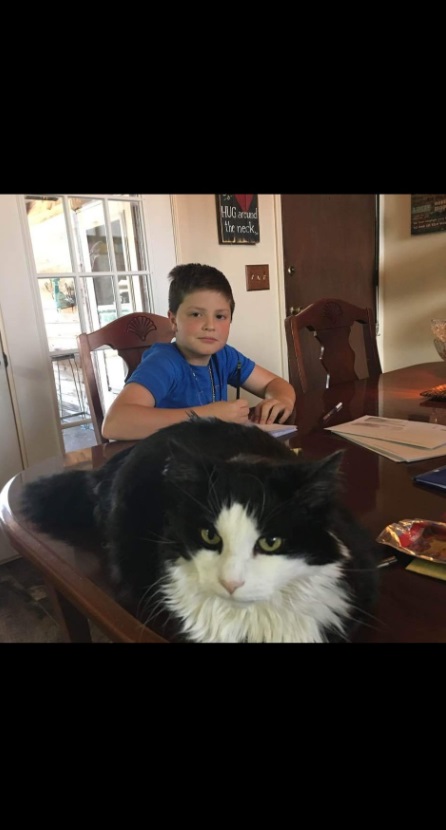 PHOTO Colt Gray At Family Kitchen Table With The Pet Cat